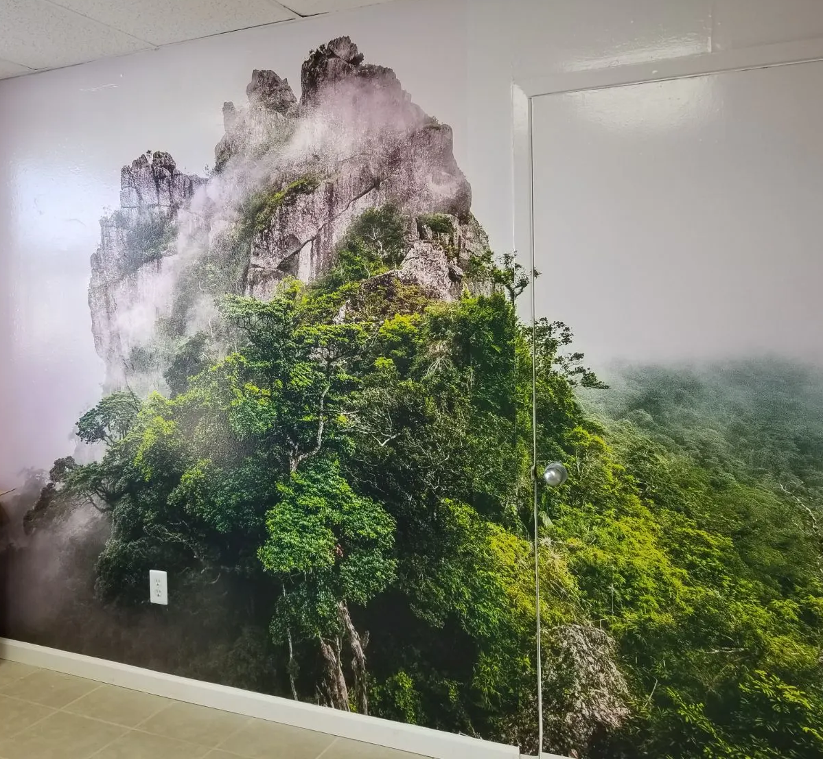 Clear Lake Auto Wraps - decals, signs, letters, banners and wraps