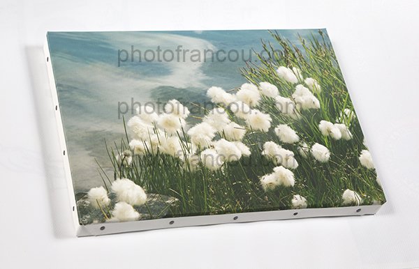 impression photo immédiate et impression numérique grand format