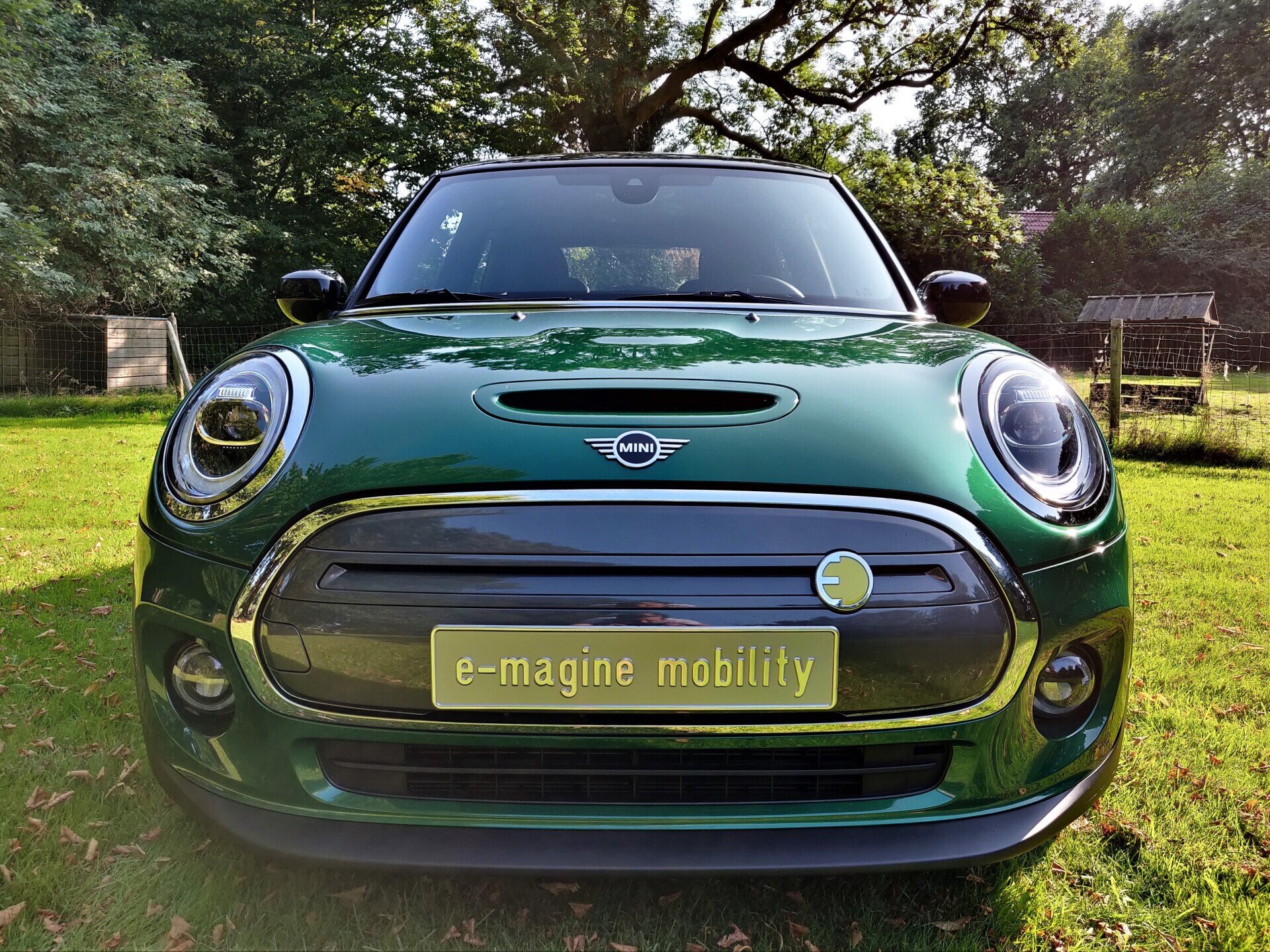 Mini Cooper SE, Mini Electric in British Racing Green
