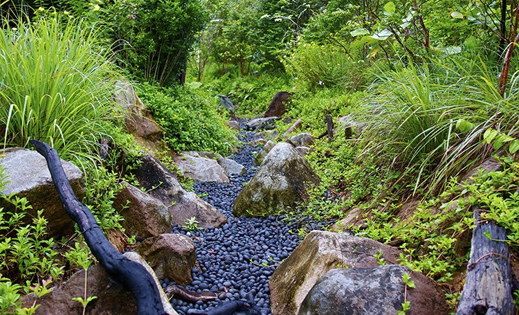 Espa, Resorts World Sentosa - 675 sq m eco pond with aquatic planting