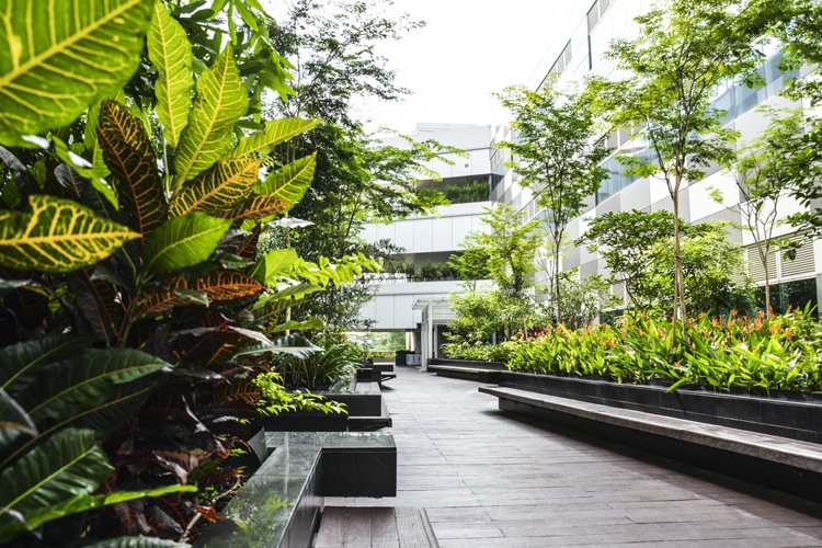 CleanTech Two @ CleanTech Park - Level 4 Roof Top Garden