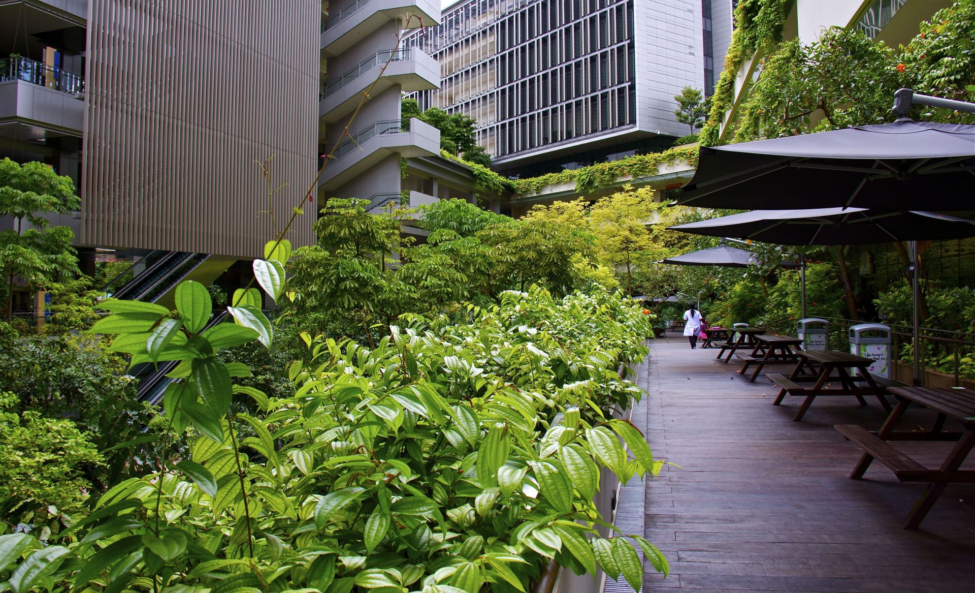 Khoo Teck Puat Hospital