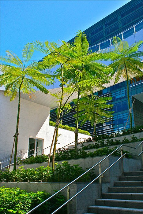 Mapletree Business City