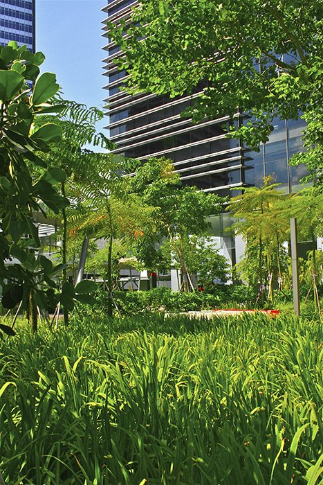 Mapletree Business City