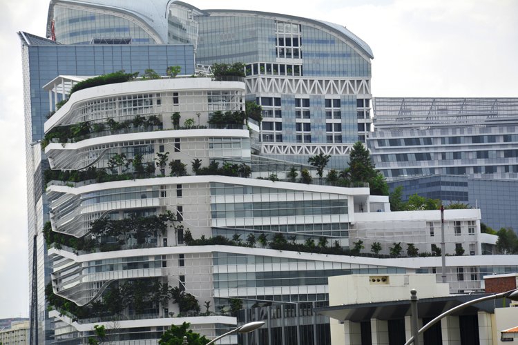 Multi Utility Hub, Mediapolis