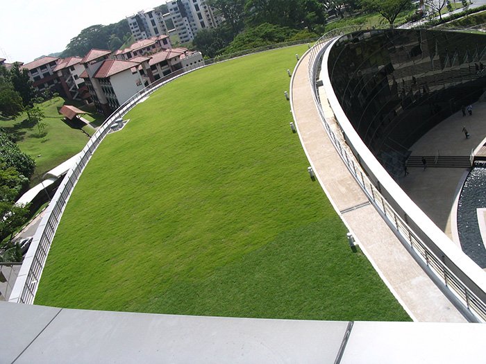 Nanyang Technological University - Extensive 8000 Square Metre Green Roof