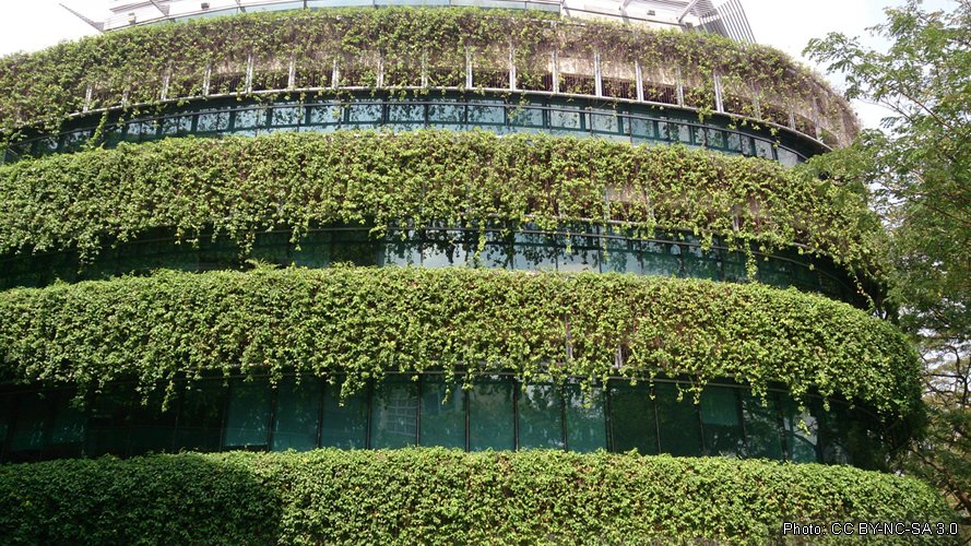 Singapore Management University - Softscape works with vertical ...