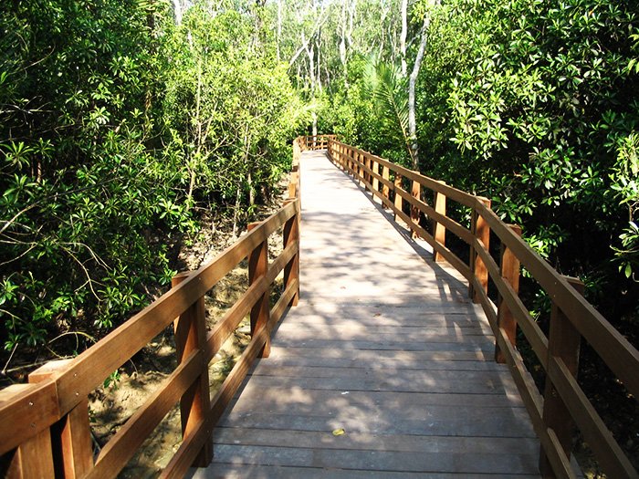 Pasir Ris Park - 232-Metre Simulated Timber Boardwalk