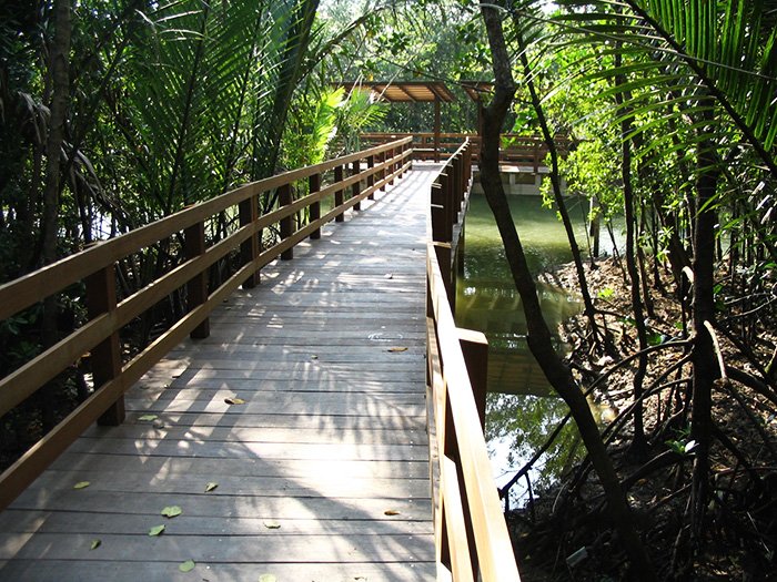 Pasir Ris Park - 232-Metre Simulated Timber Boardwalk