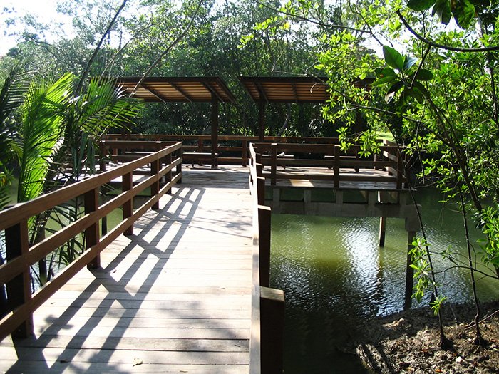 Pasir Ris Park - 232-Metre Simulated Timber Boardwalk
