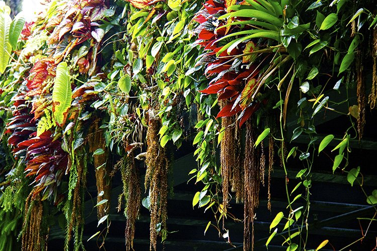 Cool Moist Conservatory, Garden by the Bay Proprietary Vertical Organic ...