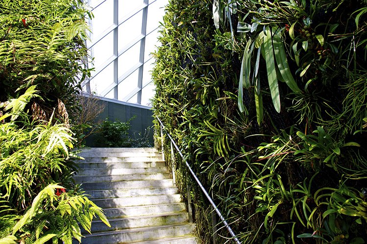 Cool Moist Conservatory, Garden by the Bay Proprietary Vertical Organic ...