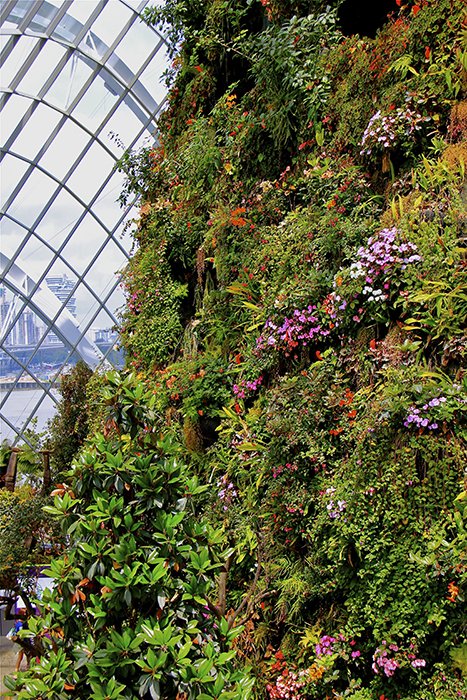 Cool Moist Conservatory, Garden by the Bay Proprietary Vertical Organic ...