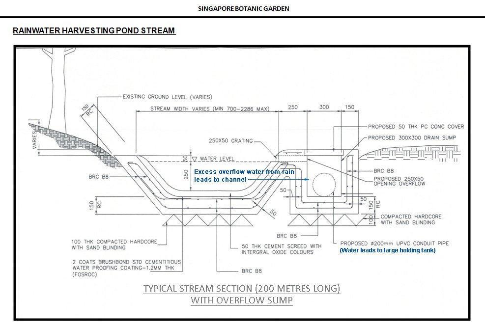 Saraca Stream, Singapore Botanic Gardens