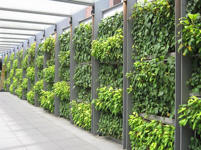 78 Shenton Way South Tower - Proprietary Modular Greenwall Panel System