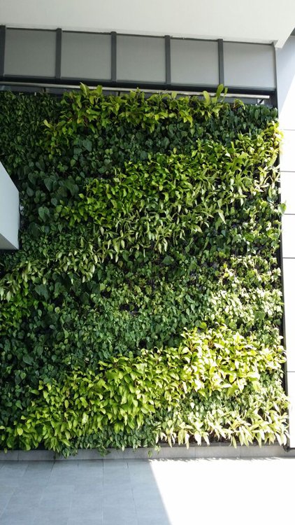 Genting Hotel - Proprietary Modular Greenwall Panel System