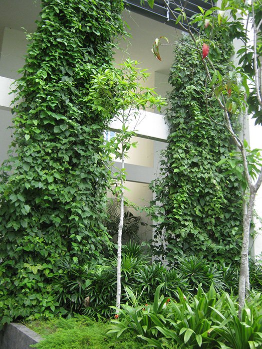 Park Hotel Alexandria - Proprietary freestanding modular green wall system