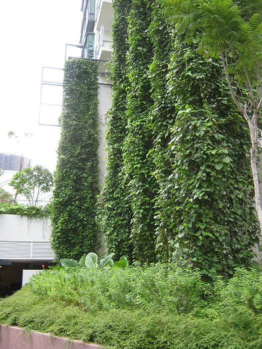 Park Hotel Alexandria - Proprietary freestanding modular green wall system