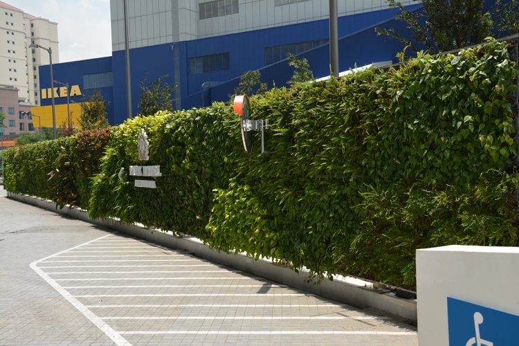 Park Hotel Alexandria - Proprietary freestanding modular green wall system