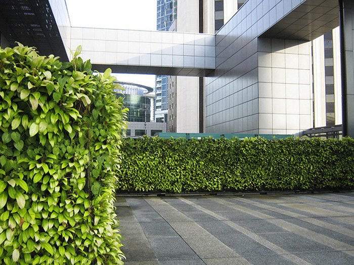 The Luxurie - Proprietary Modular Greenwall Panel System