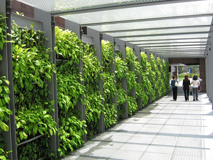 The Luxurie - Proprietary Modular Greenwall Panel System