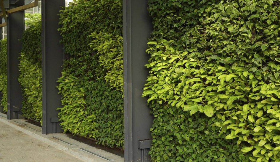 The Luxurie - Proprietary Modular Greenwall Panel System