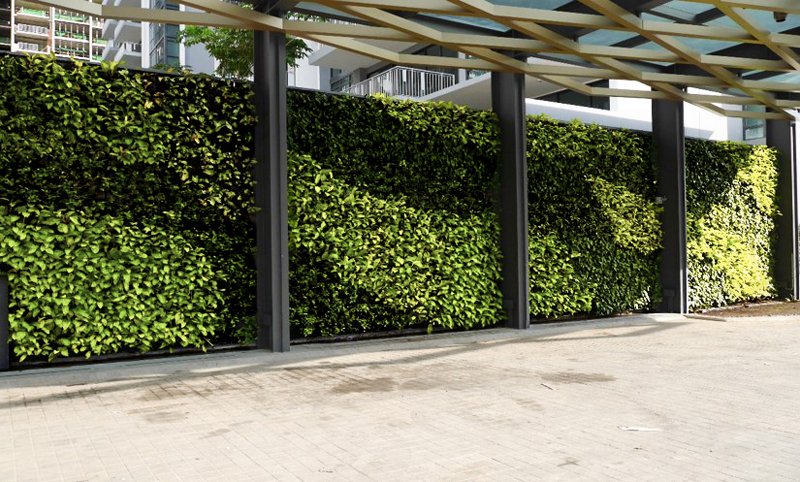 The Luxurie - Proprietary Modular Greenwall Panel System
