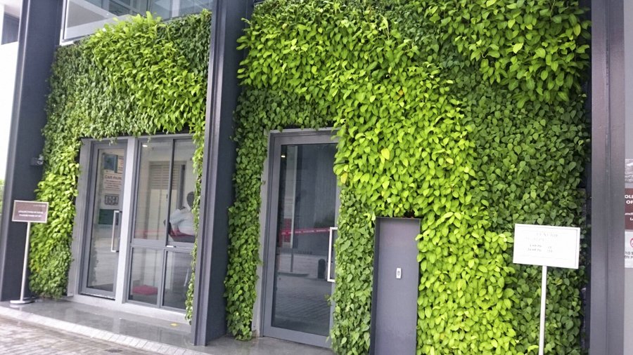 The Luxurie - Proprietary Modular Greenwall Panel System