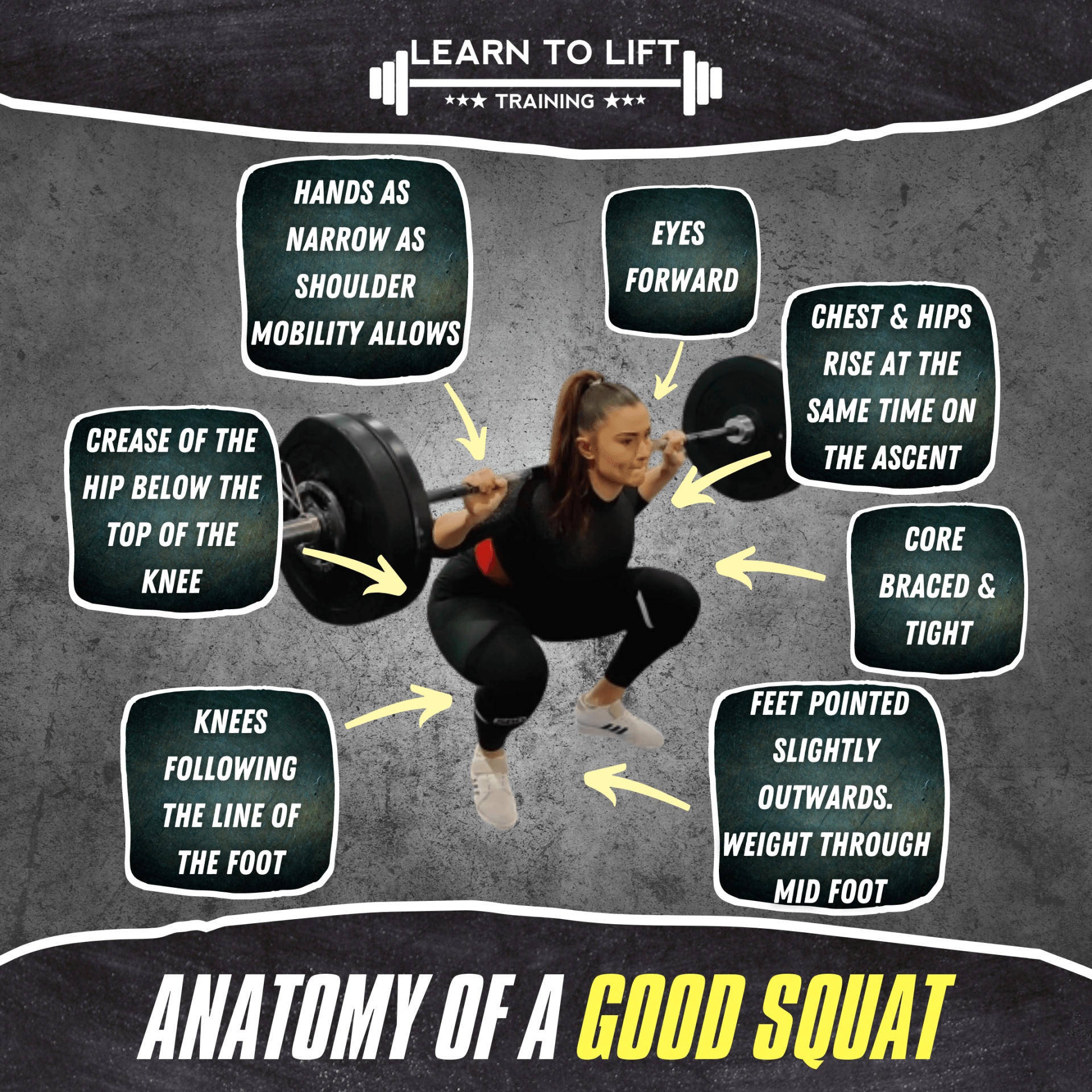 The Anatomy Of A Good Squat