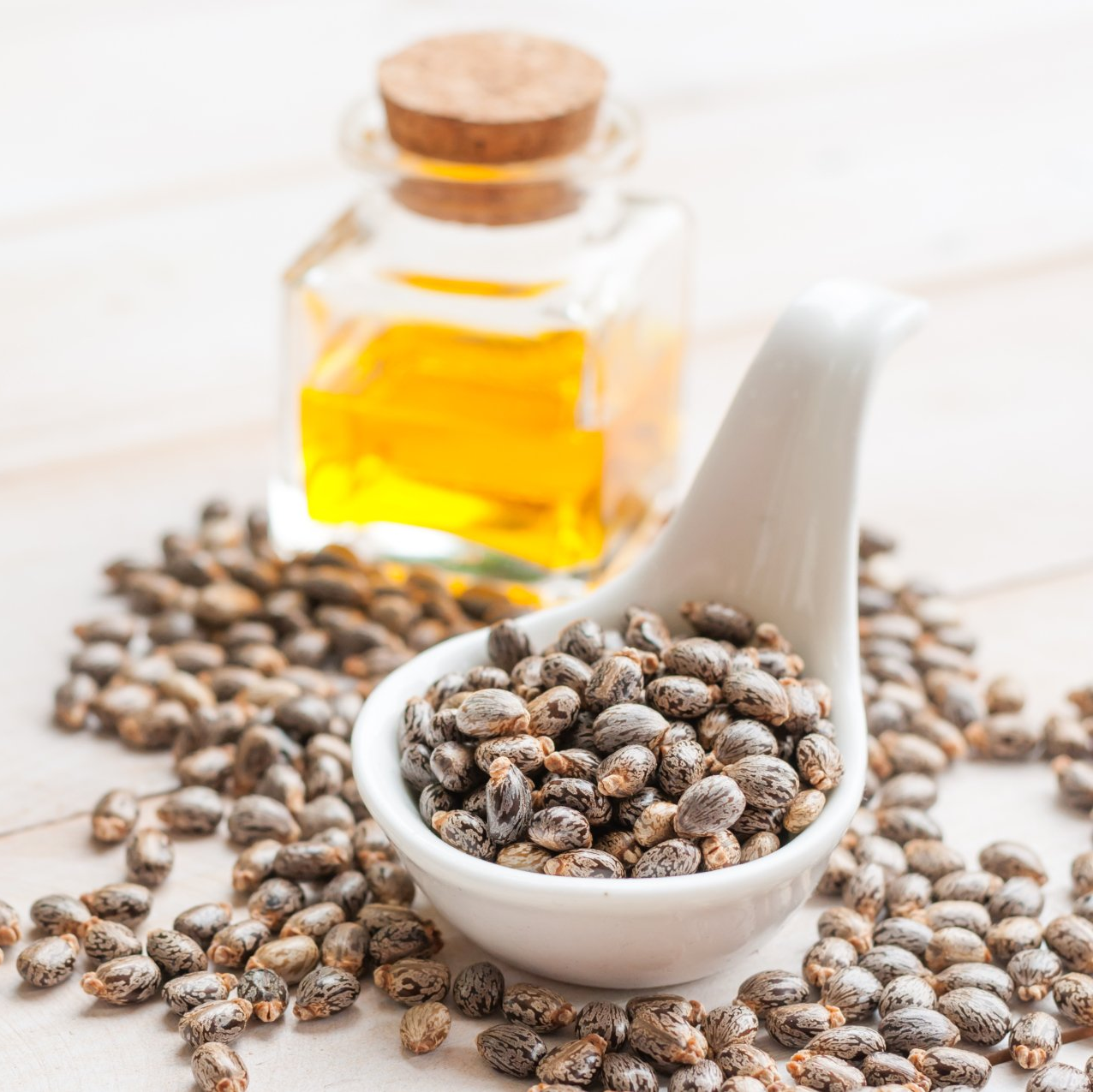 Xamchem, LLC. - Bio Based Products | Exton, PA