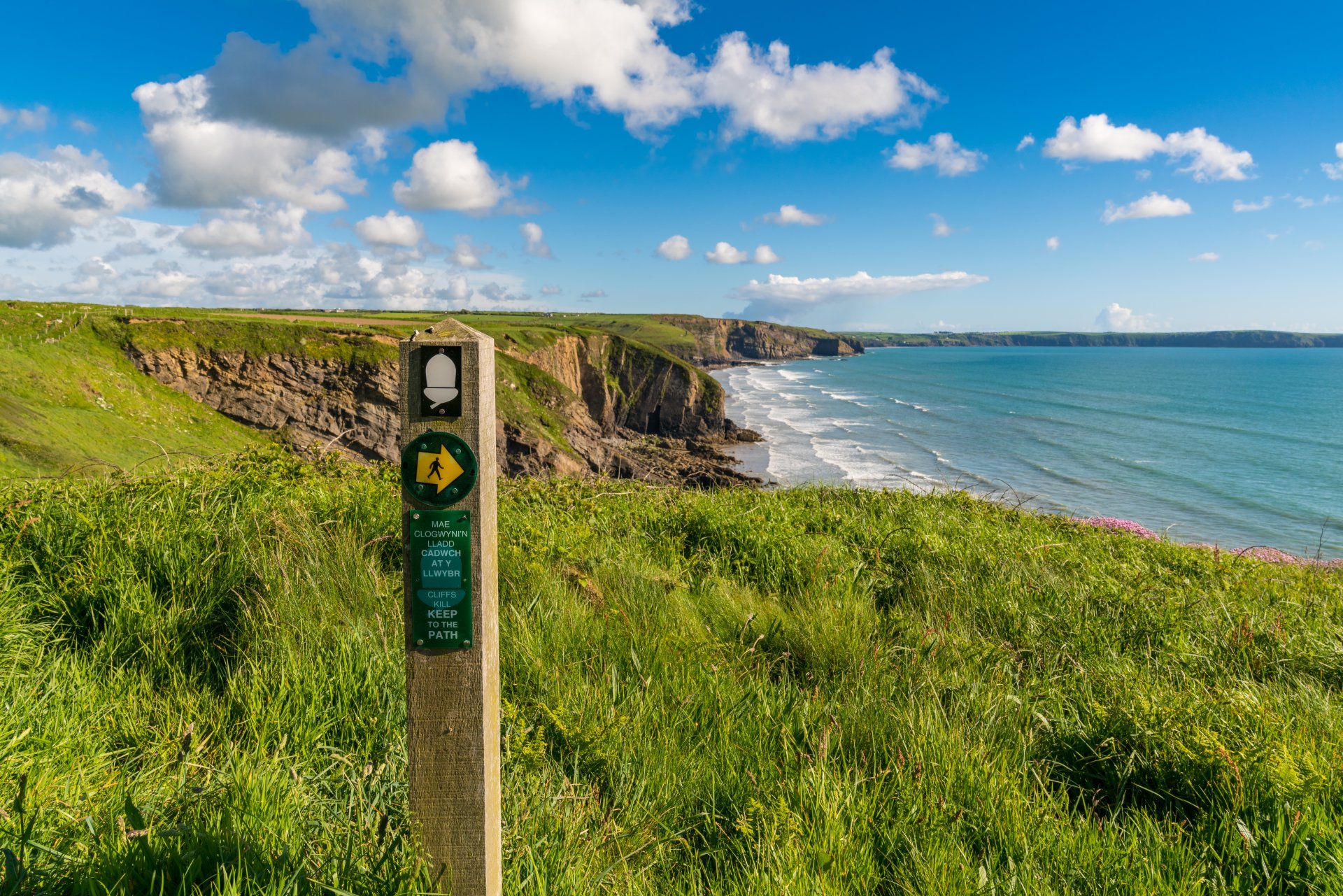 Guided walking tour in Wales on Pembrokeshire Coast.