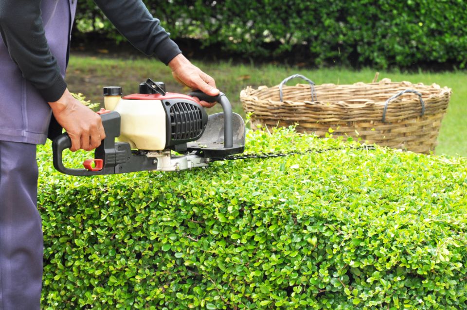 Interventi di giardinaggio - Bergamo - Licini Giacomo srl