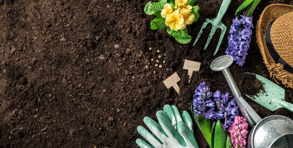Interventi di giardinaggio - Bergamo - Licini Giacomo srl