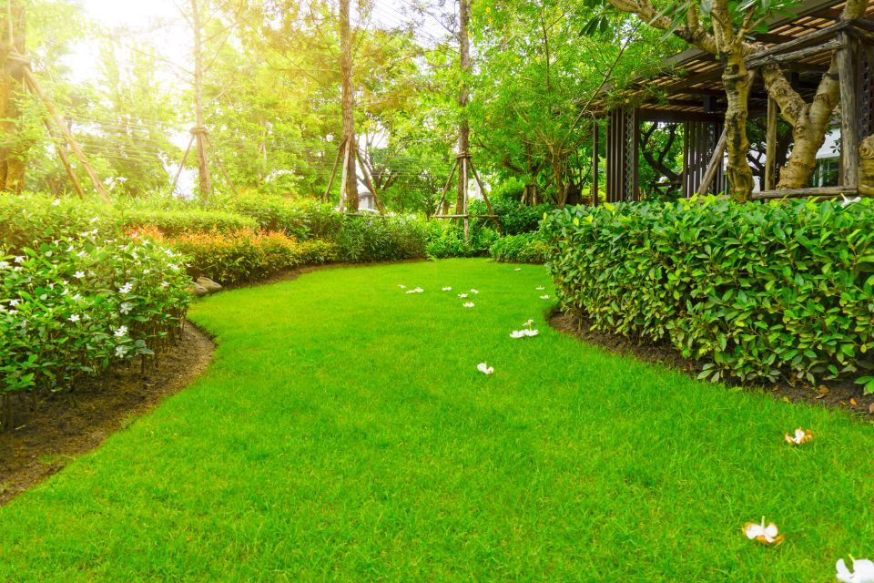 Interventi di giardinaggio - Bergamo - Licini Giacomo srl