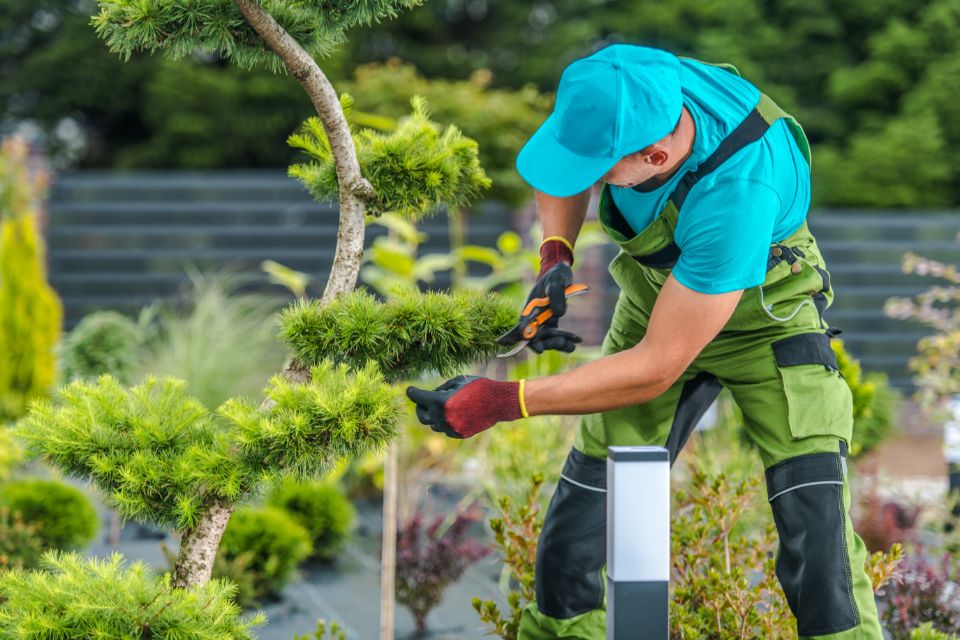 Interventi di giardinaggio - Bergamo - Licini Giacomo srl
