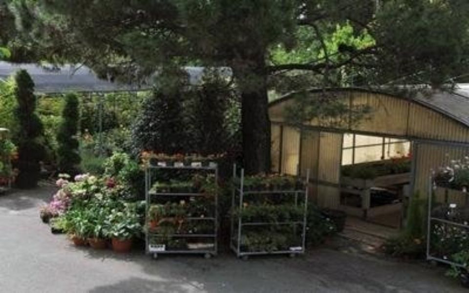centro di giardinaggio Licini - Bergamo - Licini Giacomo srl