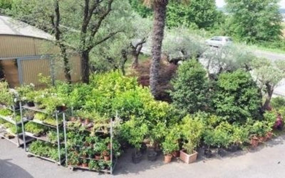 centro di giardinaggio Licini - Bergamo - Licini Giacomo srl
