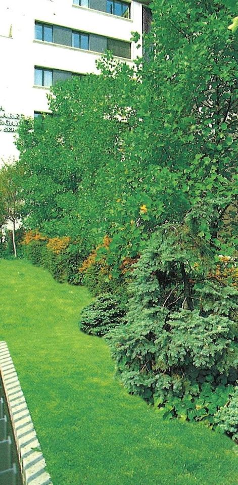 Creazione giardini - Bergamo - Licini Giacomo srl
