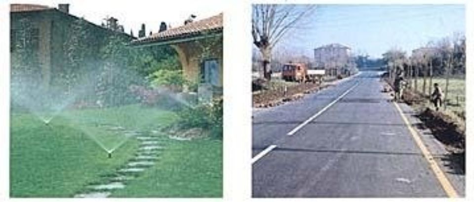 Potatura piante - Bergamo - Licini Giacomo srl