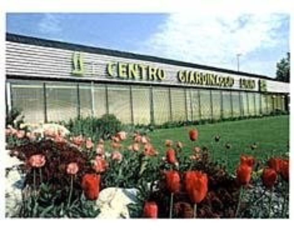 Potatura piante - Bergamo - Licini Giacomo srl
