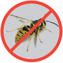 Why Do Stink Bugs Smell Bad? | EcoGuard Pest Management