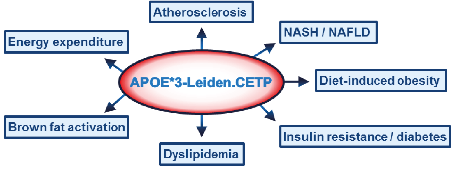 Rensen Laboratory - Department of Endocrinology, LUMC