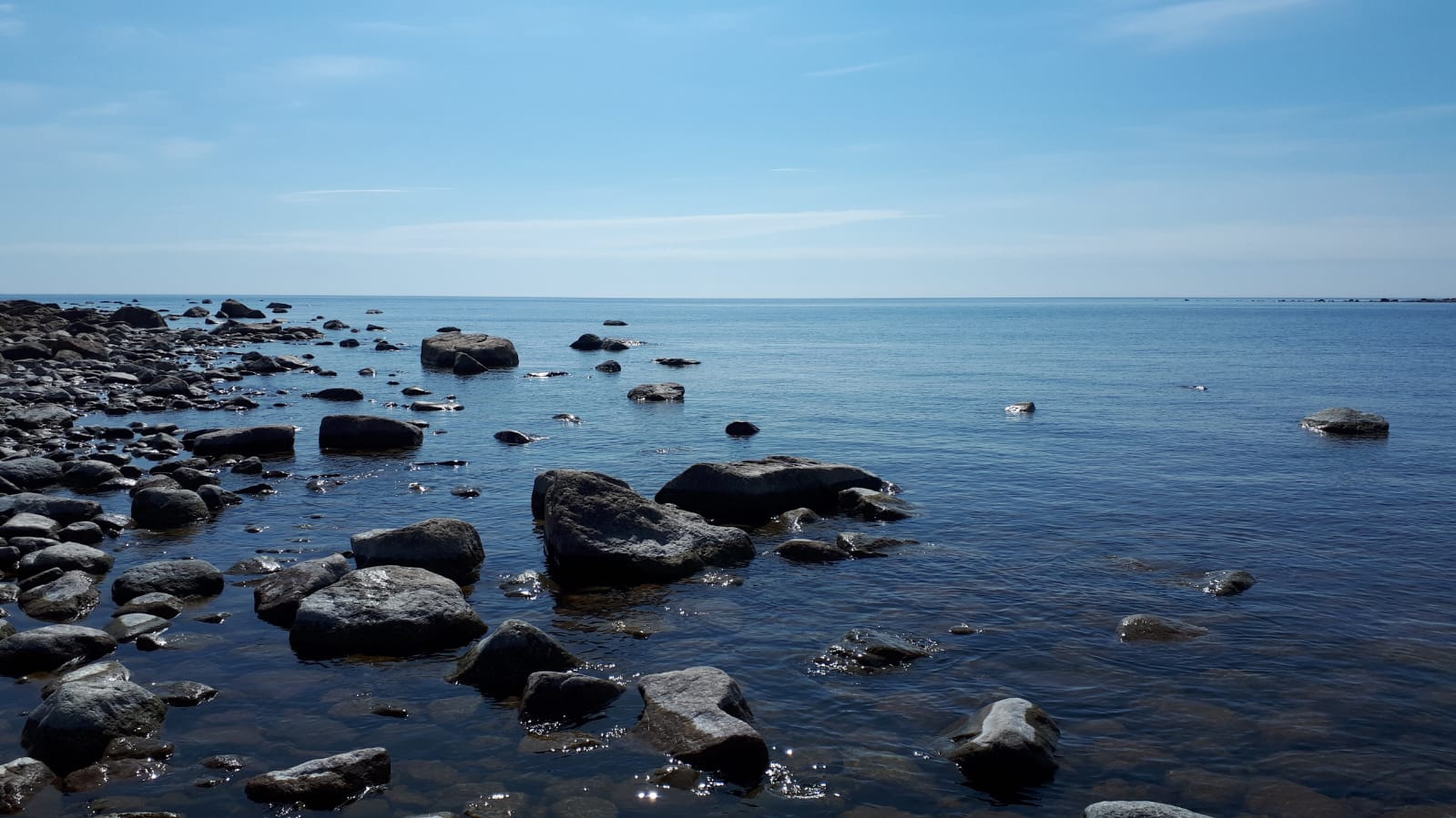 Grayling Tagging in Northern Sweden