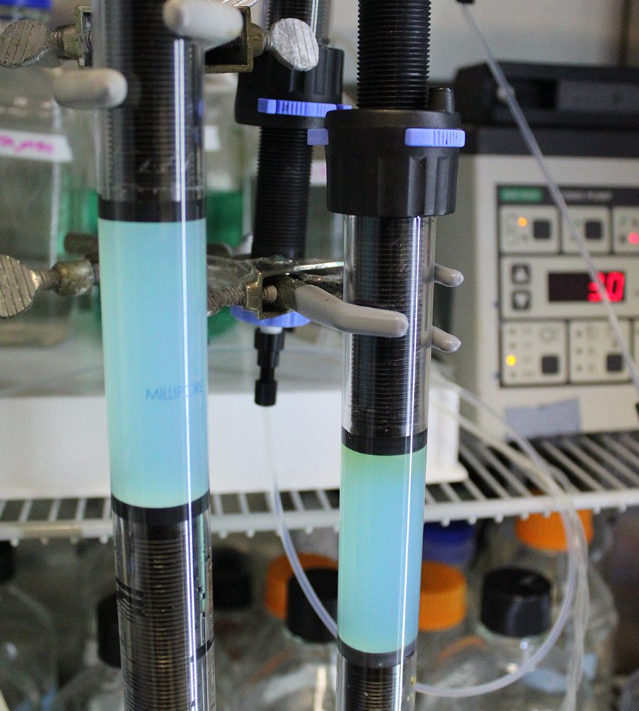 Recombinant Human Glycoside Hydrolases - Glyco Expression Technologies ...