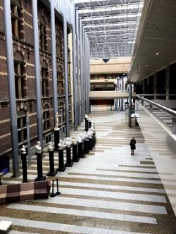 Verslagen activiteiten VGSE