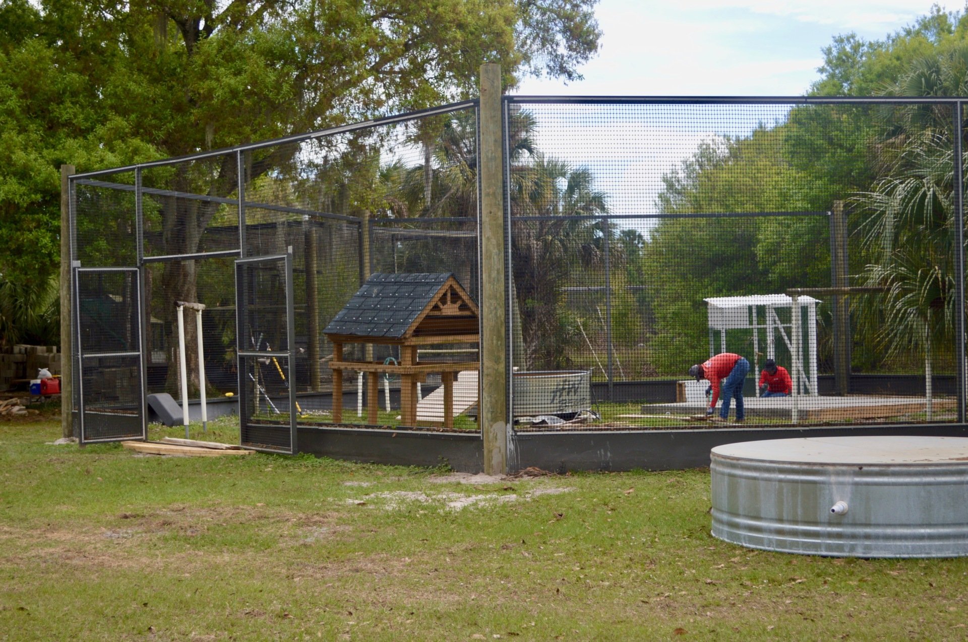 Gallery | Treasure Coast Wildlife Center