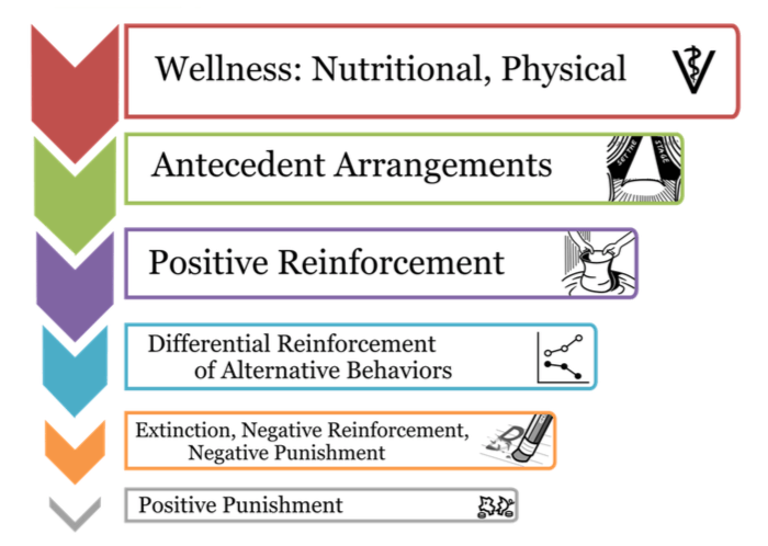 LIMA : Cutters Canines & Equines - Claire Klima Animal Behaviourist ...