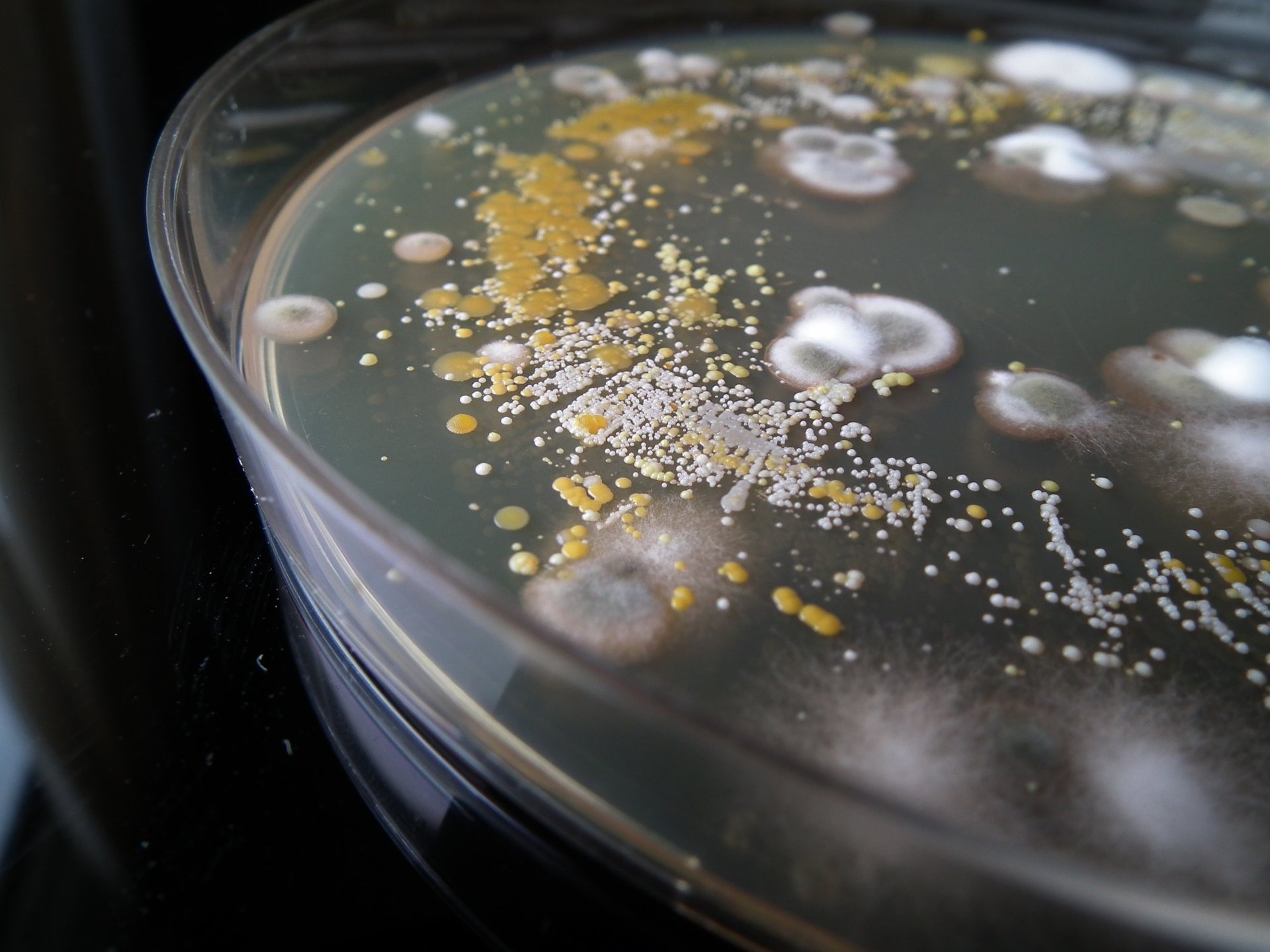 Clean Air Monitoring Solutions - Microbiological Monitoring Systems