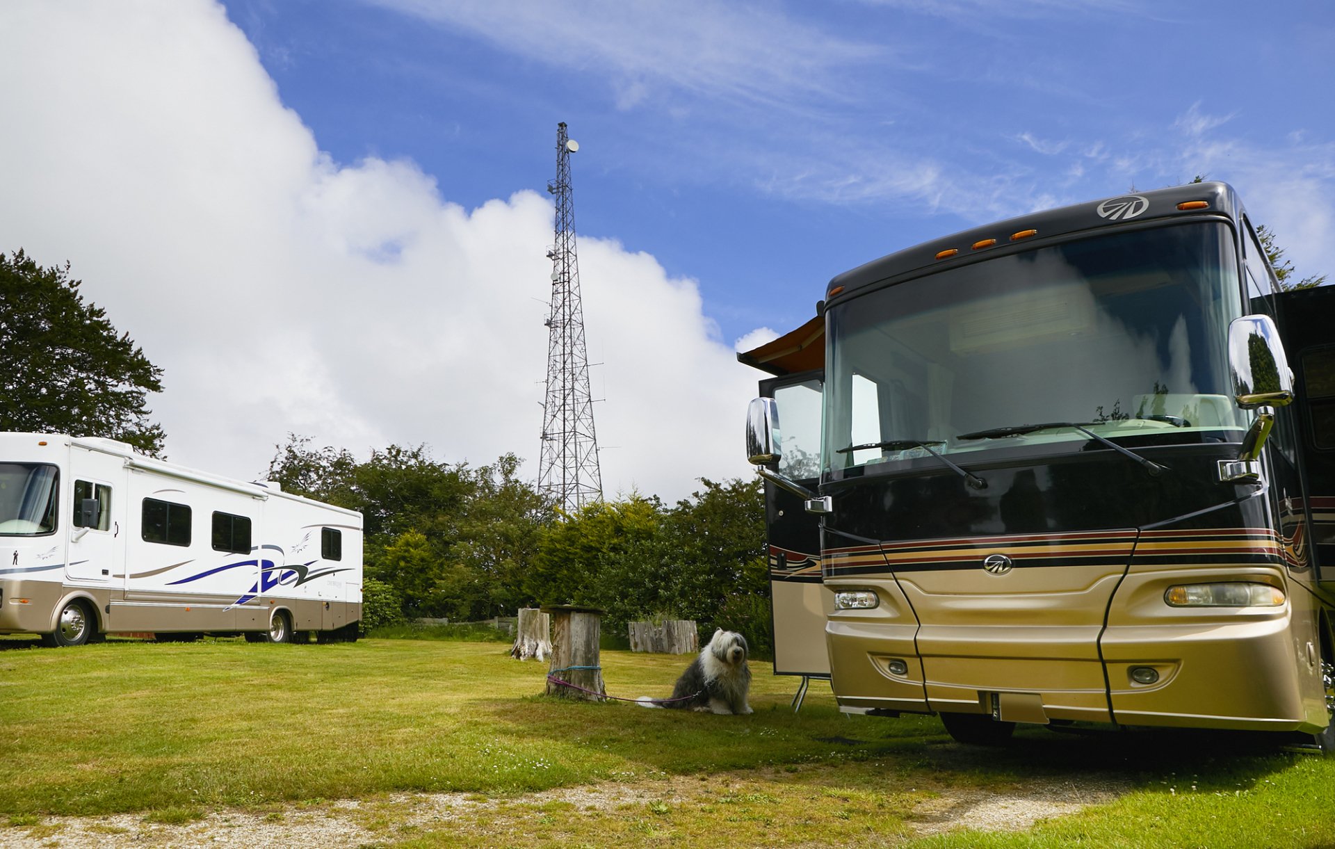Caravan And Motorhome Sites In Scarborough Dog Friendly caravan-and-motorhome-sites-in-scarborough-dog-friendly