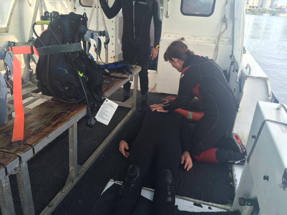 Dive Forster at Fisherman's Wharf | SCUBA, Dolphin Swim, Spearfishing